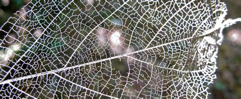Decomposition Techniques In Software Architecture