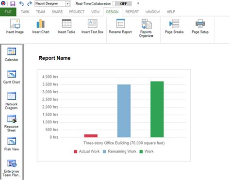 visual reports project plan 365