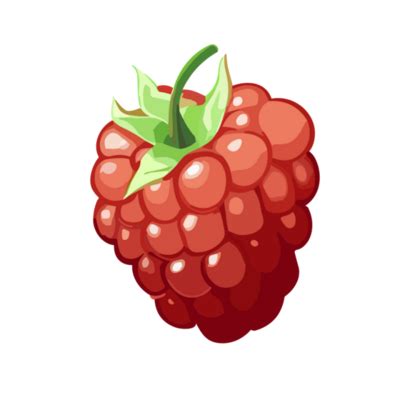 Raspberry PNGs For Free Download
