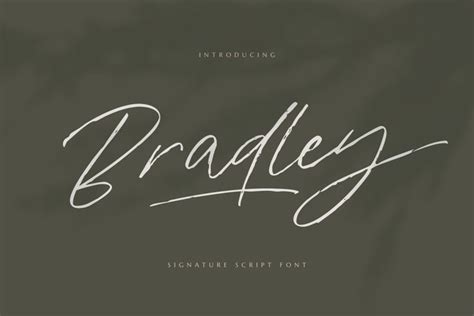 Bradley Signature Script Font