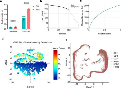 Single Cell Transcriptome Atlas Of Testes From Mice With High Fat Diets