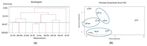Principal Component Analysis Pca And Cluster Analysis From