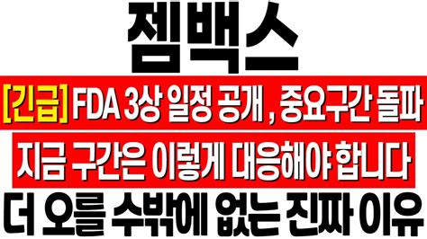 젬백스 주가 전망 Fda 3상 일정 공개 중요 구간 돌파 이젠 이렇게 대응해야 합니다 긴급 대응 전략 젬백스 주식 전망 젬백스 목표가 젬백스 기업 분석
