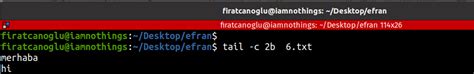 Örneklerle Linuxta Tail Komutu Nasıl Kullanılır Linux Data Linux Sysadmin