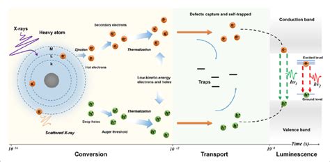 The X Ray Scintillation Process In An Organic Perovskite Scintillator
