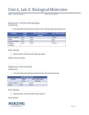 Unit Lab Biological Molecules Lab Write Up Docx Unit Lab Biological Molecules Name