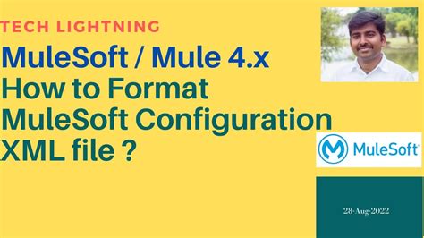 how to format indent properly in mulesoft configuration xml file