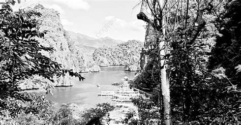 안에 사진 배경 및 무료 다운로드를위한 그림 Pngtree