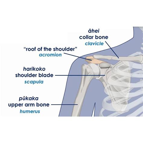 Sindromul De Impingement