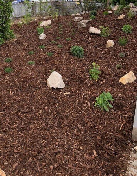 Gartenservice Andreas Brummer Pöttmes Garten