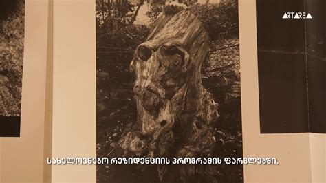 Tbilisi Photo Festival 2019 ჩიტის ბუდეები Youtube