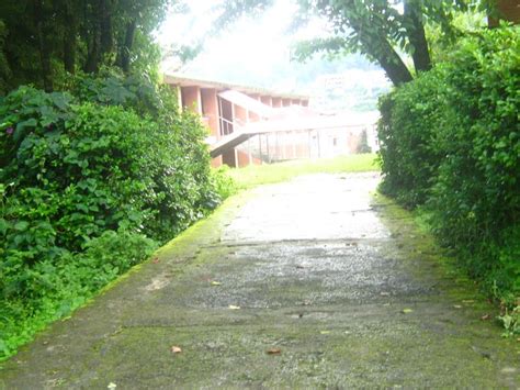 Science Block Garden Ideas