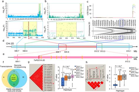 Identification Of A Candidate Gene For Wheat Yellow Mosaic Virus Wymv Download Scientific