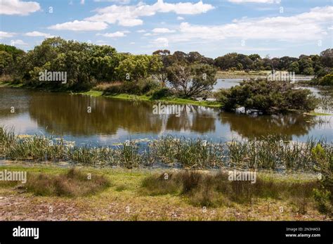 Lake Mcintyre Reserve At Crystal Molden Blog