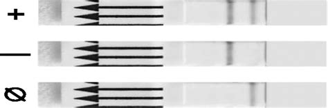 Reverse Transcriptase Polymerase Chain Reaction On Quickvue Point Of Care