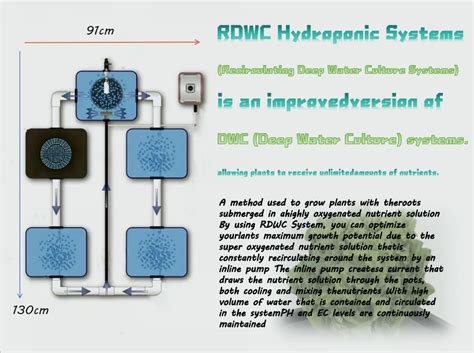RDWC Clone Bucket Hydroponics Growing System 4 6 8 10 18 Buckets Custom Made Alibaba Com