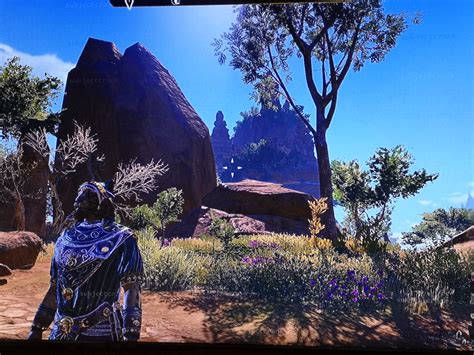 Steam Proton Ubuntu 1804 — Elder Scrolls Online