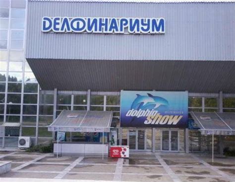 Делфинариум Феста Варна Блог на Павел Джунев