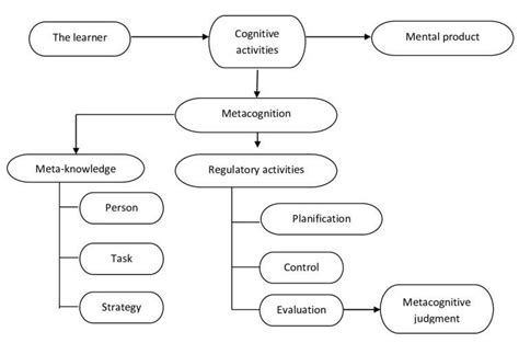 Diagram Of A Metacognitive Process Download Scientific Diagram