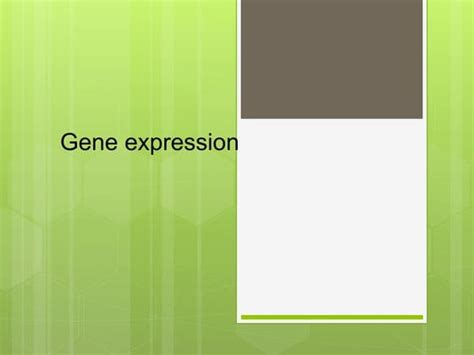 Gene Expression And Regulationpptx