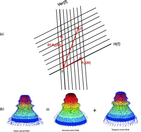 A Direct Sum Decomposition H F ⊕ V Er F T F F B Vector Field Download Scientific