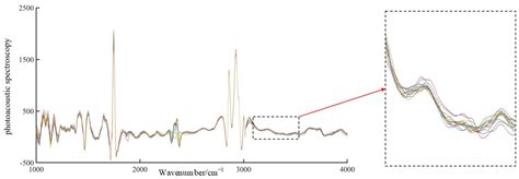 photoacoustic spectroscopy combined with integrated learning to