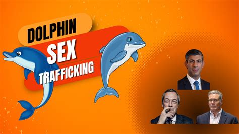Dolphin Sex Trafficking