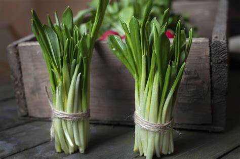 ღანძილის კრემსუპი საგაზაფხულო აღმოჩენა რომელიც იდეალურია ავიტამინოზის დროს