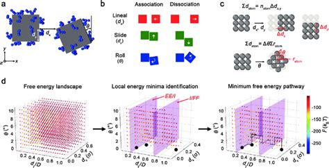 Schematics Of The Computational Approach A Coarse Grained Model Of Download Scientific