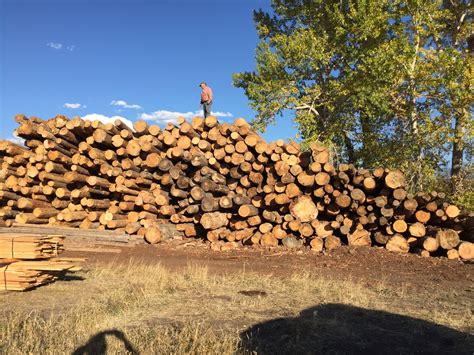Wood Is The Most Renewable Resource Sustainable Lumber Co