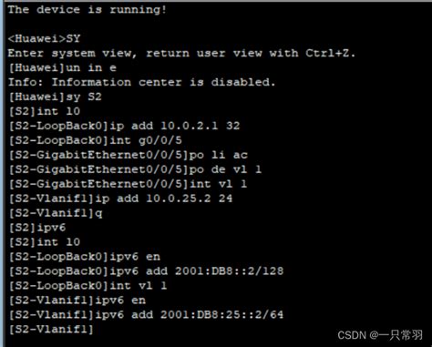 ipv4 ipv6双栈综合实验 ipv6双栈配置实验 csdn博客