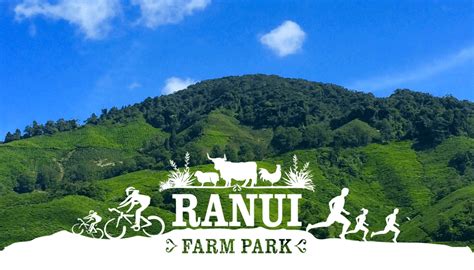 Ranui Farm Park School Camps Nz