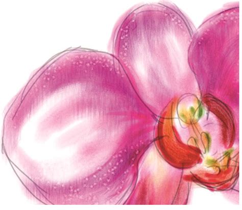 KB Corel Corel Painter Moving Paint In Watercolor