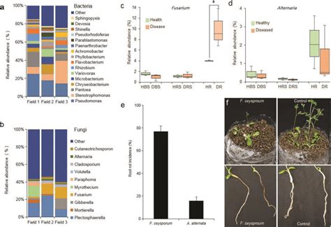 Microbial Community Composition In Diseased Roots And Pathogenic