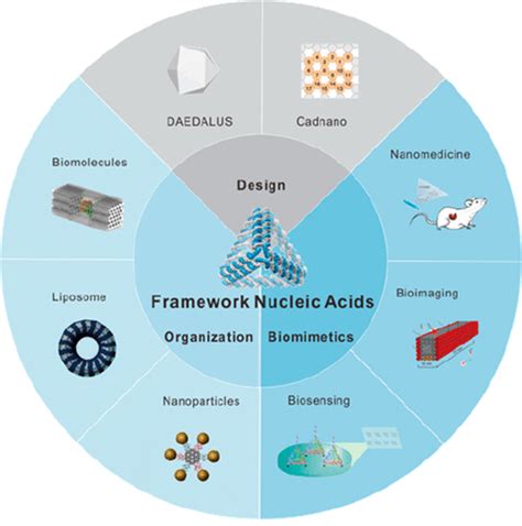 Concept And Development Of Framework Nucleic Acidsjournal Of The American Chemical Society X Mol