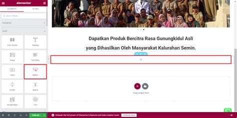 Cara Membuat Landingpage Dengan Elementor Konsultan Bisnis Satoeasa