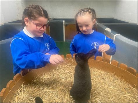 First Class School Tour