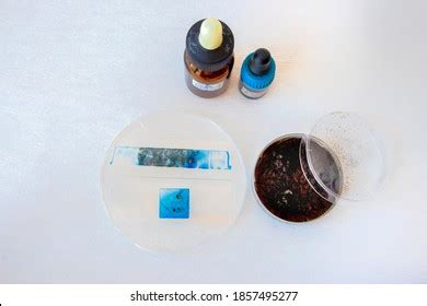 Lpcb Images Stock Photos D Objects Vectors Shutterstock