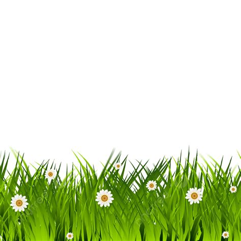 When Was Grass Founded At Augustine Mendoza Blog