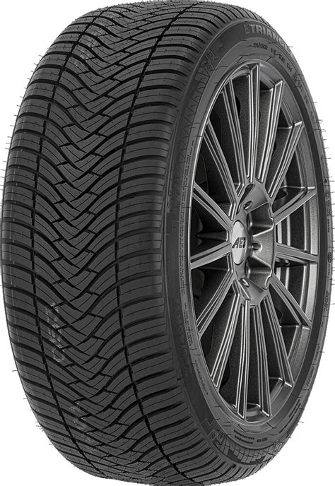 Triangle SeasonX TA01 195/55 R20 95H XL ab 107,00 € | Preisvergleich ...