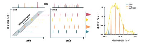 4d Dia Quantitative Proteomics Crown Bioscience