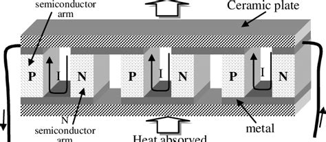 The Schematic Of A Tec Module Download Scientific Diagram