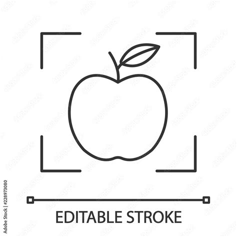 Object Detection App Linear Icon Stock Vector Adobe Stock