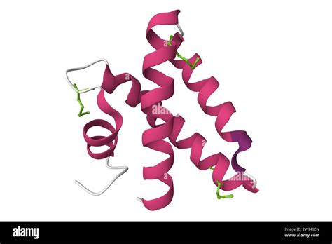 Crystal Structure Of Human Saposin A 3d Cartoon Model Secondary Structure Color Scheme Pdb