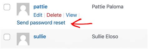 WordPress Not Sending Password Reset Email How To Fix It