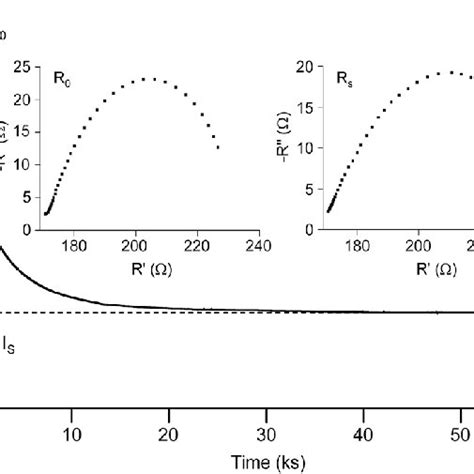 Typical Depolarization Curve Of The Mp70 30 16 Blended Hybrid Spe Download Scientific Diagram