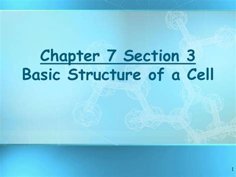 PDF Chapter The Basic Structure Of A Cellcomstockbio Weebly Com Uploads