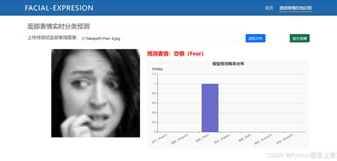 基于深度学习的面部表情分类识别系统 面部表情分析系统 csdn博客