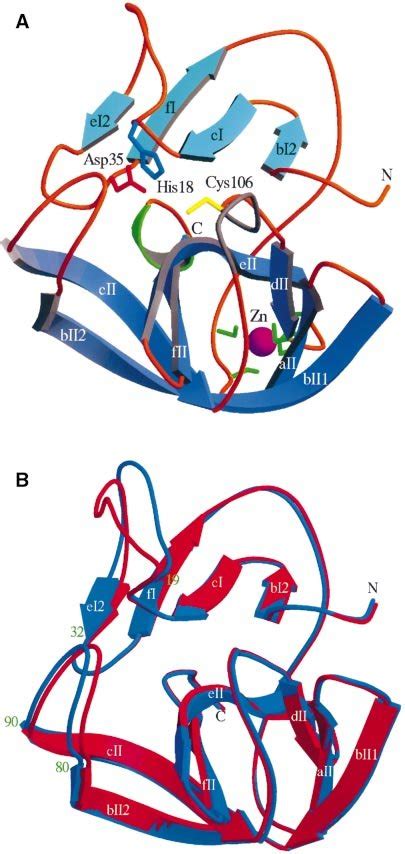 The Structure Of Hrv2 2a Pro A Ribbon Diagram Of The Overall