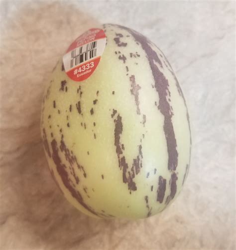 Pepino Melon Not Ripening Rfruit